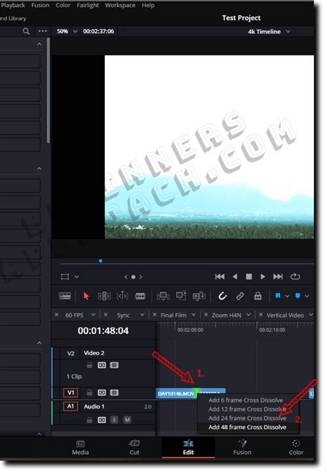 Davinci Resolve Fade Transition And Fix Issues 2025