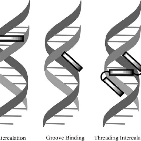 A Representation Of Classical Groove Binding And Threading Modes Of