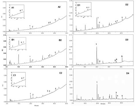 Hplc Chromatograms Of Seven Marker Compounds Detected In Different