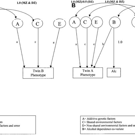 A Univariate Variance Component Ace Model B Univariate Variance