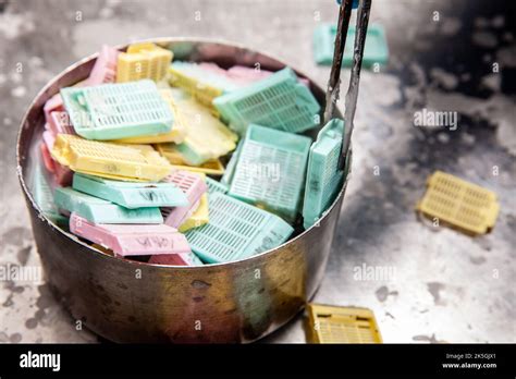 Cassettes With Biopsy Samples In Hot Paraffin Scientist Embedding Tissues In Paraffin Blocks