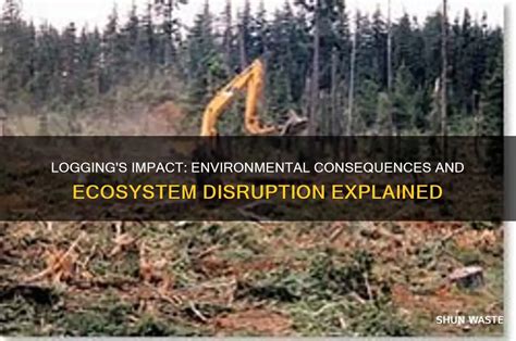 Loggings Impact Environmental Consequences And Ecosystem Disruption