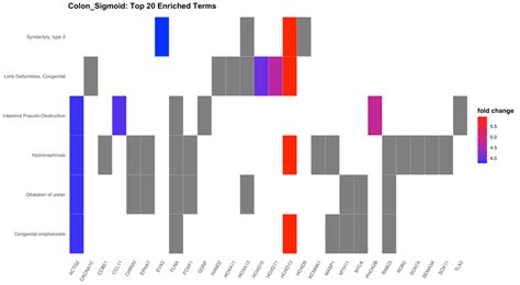 Rna Seq Colon Sigmoid