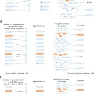 Effect Of Collisions On Barcoding Techniques Illustrated Example Of Download Scientific