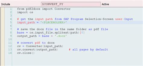 convert a pdf file to docx format within sap using python script