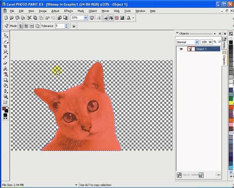 How To Change The Background Of A Picture In Corel Photo Paint Paint Color Ideas