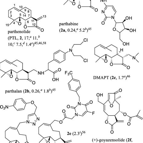 Structures Of Parthenolide Dimeric Derivatives 2g And 2h And Ic 50 μm