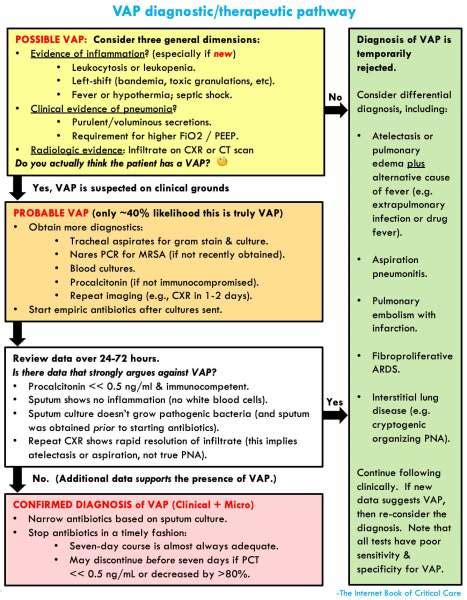 Ventilator Associated Pneumonia Vap Emcrit Project