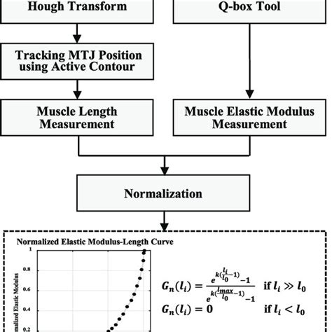 Flowchart Of The Proposed Method For Estimating The Passive Elastic Flowchart Of The Proposed Method For Estimating The Passive Elastic