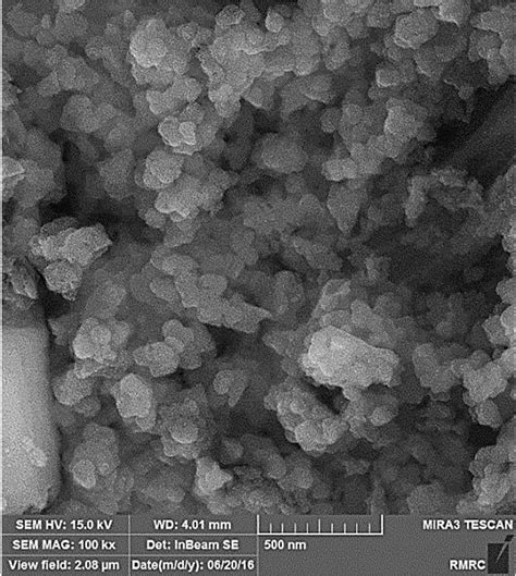 The field emission scanning electron microscope (FESEM) image from... | Download Scientific Diagram