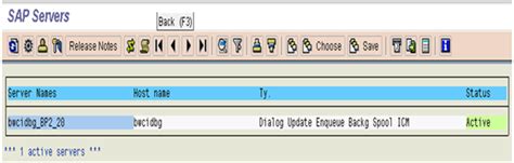 Basis And Others Sap Monitoring And Performance Checks Complete