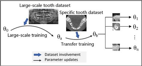 Figure 1 From Deep Learning Based Tooth Segmentation Methods In Medical