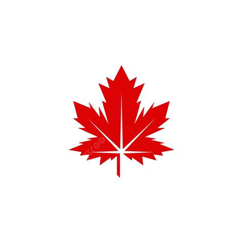 단풍잎 벡터 일러스트 디자인 서식 파일 캐나다 가을 국가 Png 일러스트 및 벡터 에 대한 무료 다운로드 Pngtree