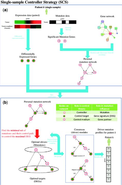 overview of scs s workflow for identifying driver mutation profiles