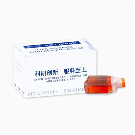 人骨髓间充质干细胞 人 原代细胞 南京森贝伽生物科技有限公司