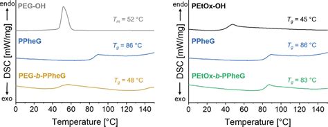 Organocatalyzed Ring‐opening Polymerization Of S‐3‐benzylmorpholine‐25‐dione Göppert 2023