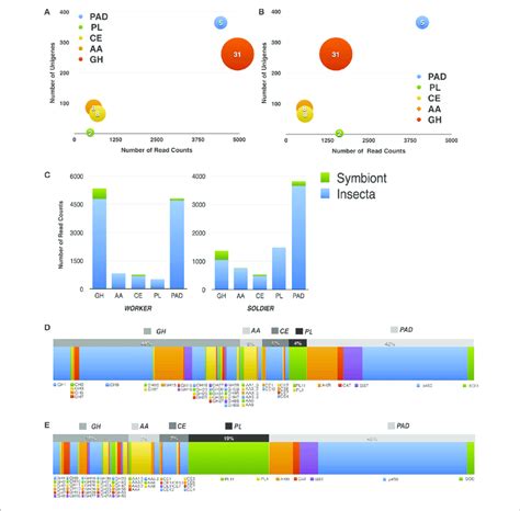 Summary Of Cazy And Pad Enzymes Identified In C Gestroi Download Scientific Diagram