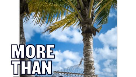 More Than Audits Why You Need Assured Support Assured Support