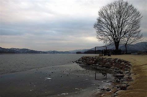 Page 157 알싸한 저물녘에 북한강과 남한강이 만나는 두물머리에 다녀왔습니다 그곳에서 새들을 만났지요 강물을 박차며 날아오르는 새 들 If의 사진으로 쓰는