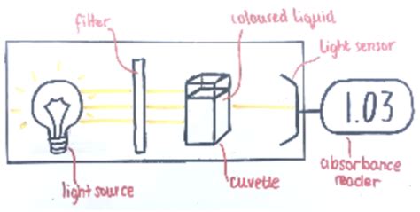 Investigate The Effect Of Temperature Ph Enzyme Concentration And Substrate Concentration On