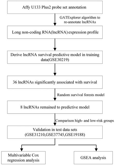 an eight long non coding rna signature as a candidate prognostic