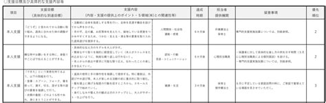 令和6年度報酬改定対応！個別支援計画（5領域や本人支援等）の記入例や注意点を解説 児発放デイ 児童発達支援・放課後等デイサービスサポート