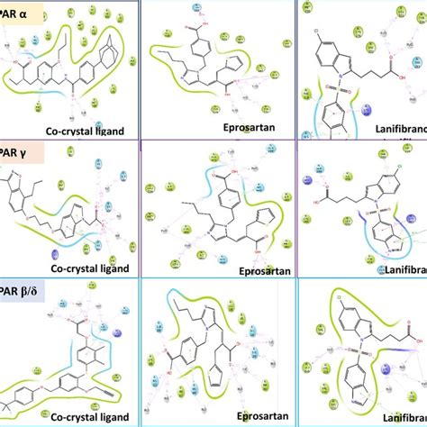 Amino Acid Residue Interactions During The Course Of Molecular Dynamics