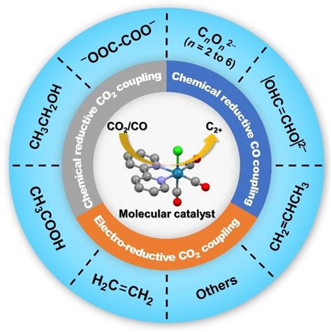Schematic Representation Of The Scope Of This Minireview Download Scientific Diagram