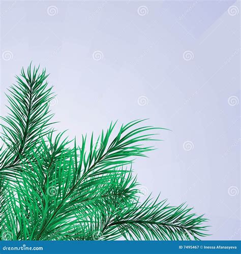 Framework From Pine Branches Stock Vector Illustration Of Cheerful Natural 7495467