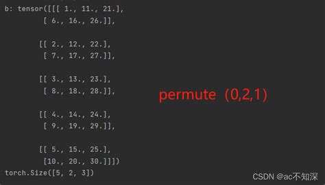 Torch中permute函数用法补充内容（矩阵维度变化详细过程）torch Permute Csdn博客