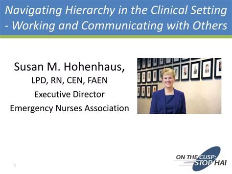 Ppt Navigating Hierarchy In The Clinical Setting Working And