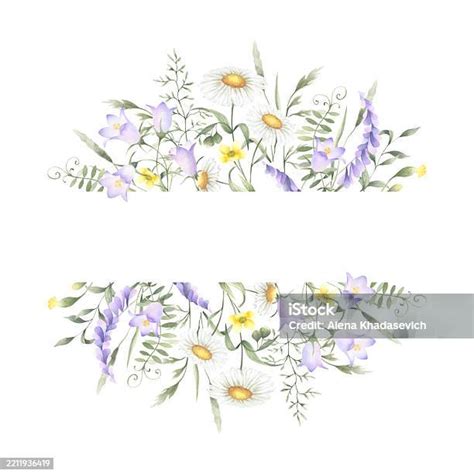 수채화 야생화 카모마일 도라지 미나리아재비 쥐 완두콩 초원 풀 손으로 그린 노란색과 라일락 꽃의 고립 된 사각형 프레임은 인증서 엽서 카드를위한 복사 공간입니다 0명에 대한