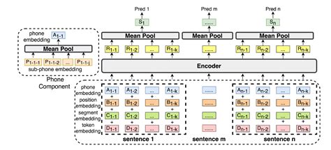 model structure