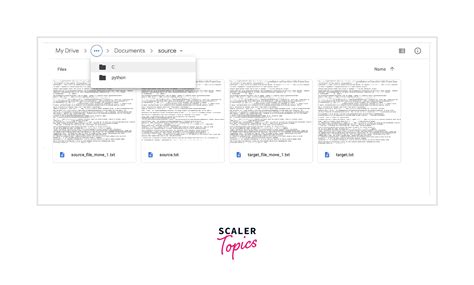 Move Files In Python Scaler Topics