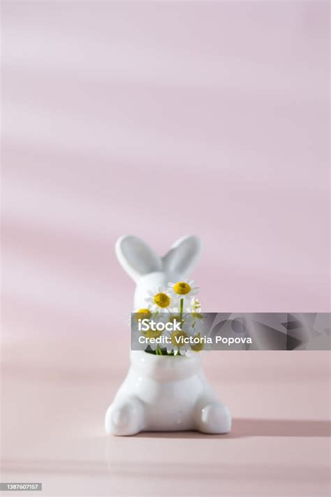 그림자 패턴의 분홍색 배경에 흰색 데이지 꽃다발을 가진 흰색 토끼의 인형 행복한 부활절 3월에 대한 스톡 사진 및 기타 이미지 3월 4월 계절 Istock
