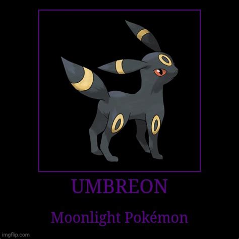 Umbreon Memes Gifs Imgflip