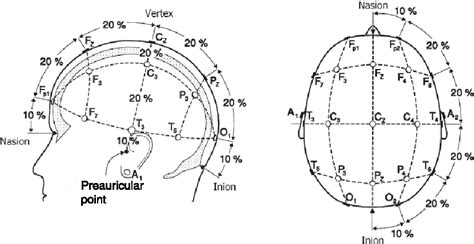 Figure 2 1 From Eeg Dipole Source Analysis In A Realistic Head Model