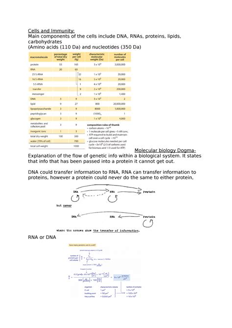 Week 1 Lecture 1 Cells And Immunity Main Components Of The Cells
