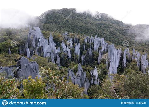 The Pinnacles At Gunung Api Stock Image Image Of Park Mulu