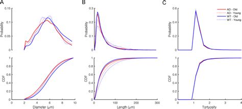 Deep Convolutional Neural Networks For Segmenting 3d In Vivo