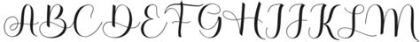 Bomshel Script Slant Regular Otf 400 Font Script Elegant What Font Is