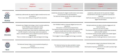 Developing A Data And Digital Maturity Framework For The Ifrc Analytics