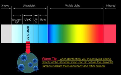 What Is The Difference Between UVA UVB And UVC
