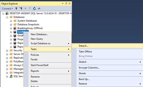 Goldmine Detach And Attach The Goldmine Database The Marks Group