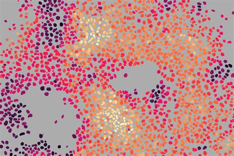 Unlocking Biologys Temporal Dimension Healthspan Action