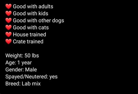 I Honestly Think Mislabelling Should Be Illegal R Banpitbulls