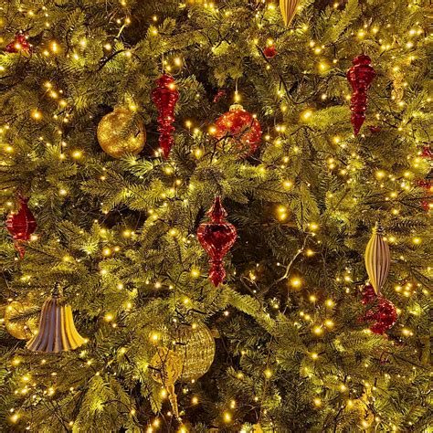 생폴 성물 도밍고and엘리사 가난하고 외롭고 소외받는 이들과 함께하기 위해 예수님이 오셨습니다 아기