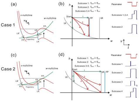 The Dynamics Of Cases A B And C D In The V W And W H Phase Download Scientific