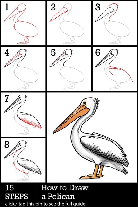 How To Draw A Pelican Step By Step Drawing Tutorials 412x1080