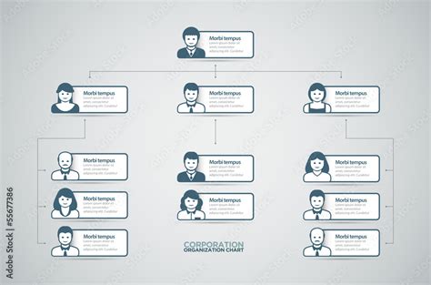 Organization Chart Stock Vector Adobe Stock